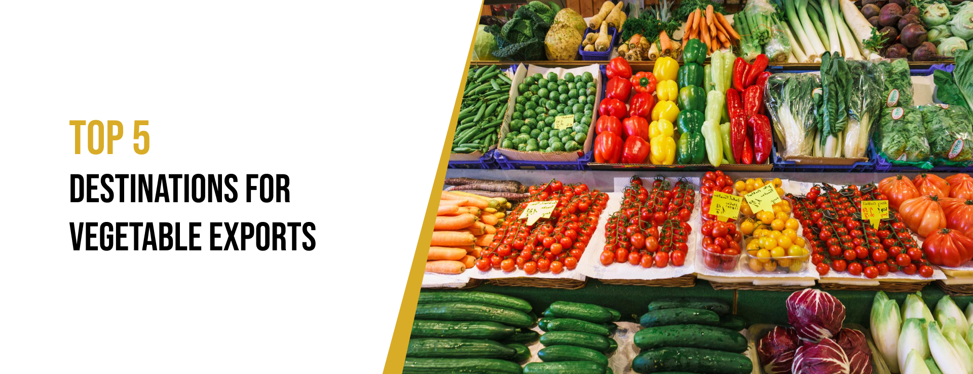 Vegetable Export Trends: Top 5 Vegetables & Markets For Exports